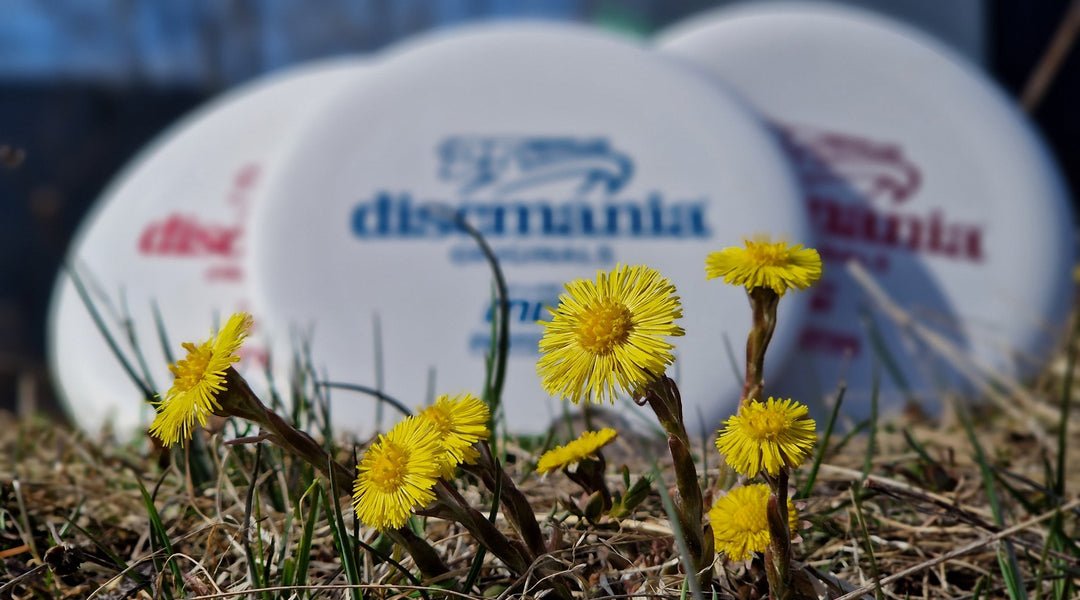 Discmania Store Europe